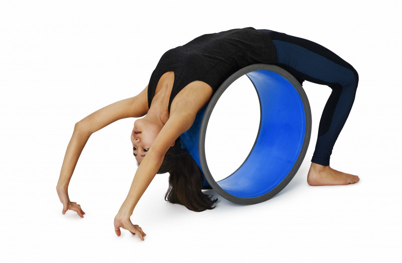 Body Wheel large GONGE 2269